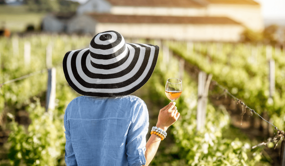 The Best Wines From The Le Marche Region Of Italy | The Italian On Tour ...