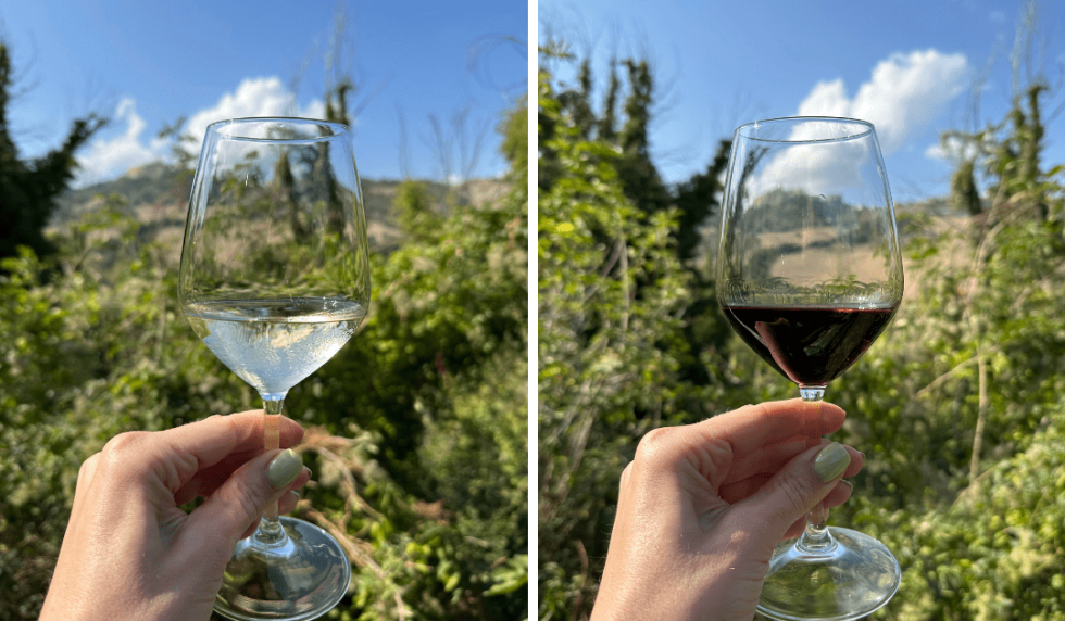 The Best Wines From The Le Marche Region Of Italy | The Italian On Tour ...