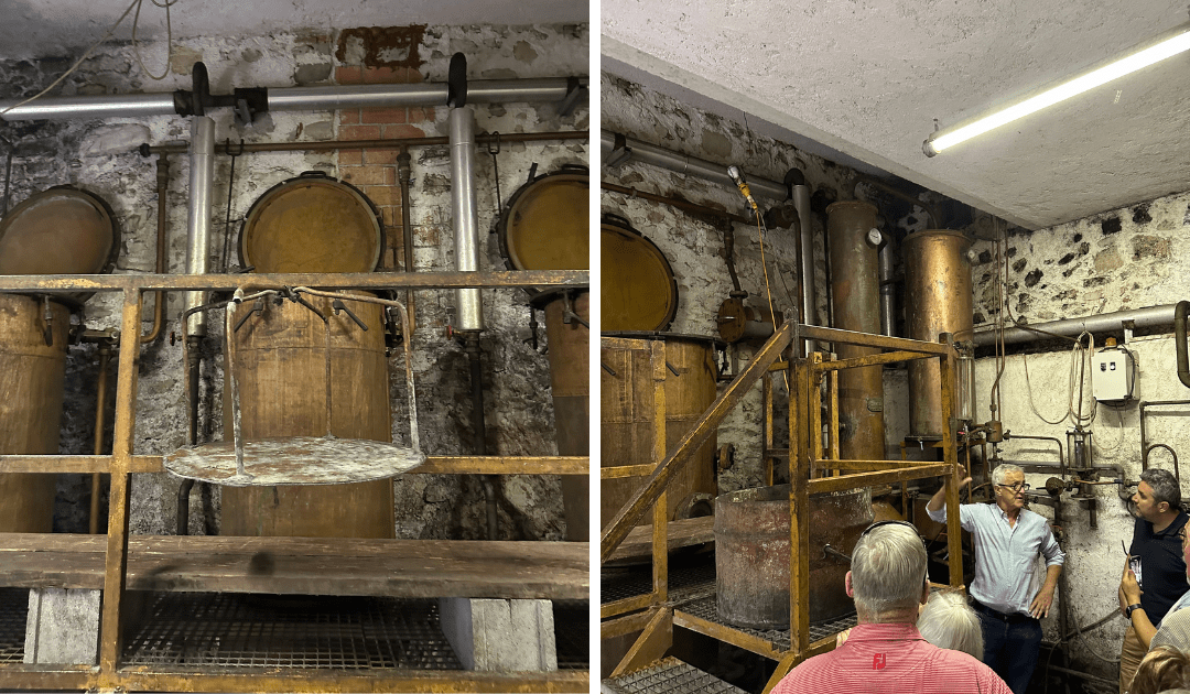 Grappa 101: Everything You Need to Know About Italy's Signature Spirit ...